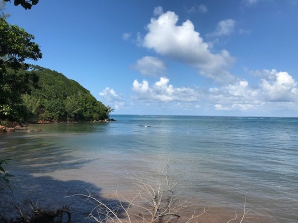 Roatan Land And Homes – Roatan's Real Estate Experts